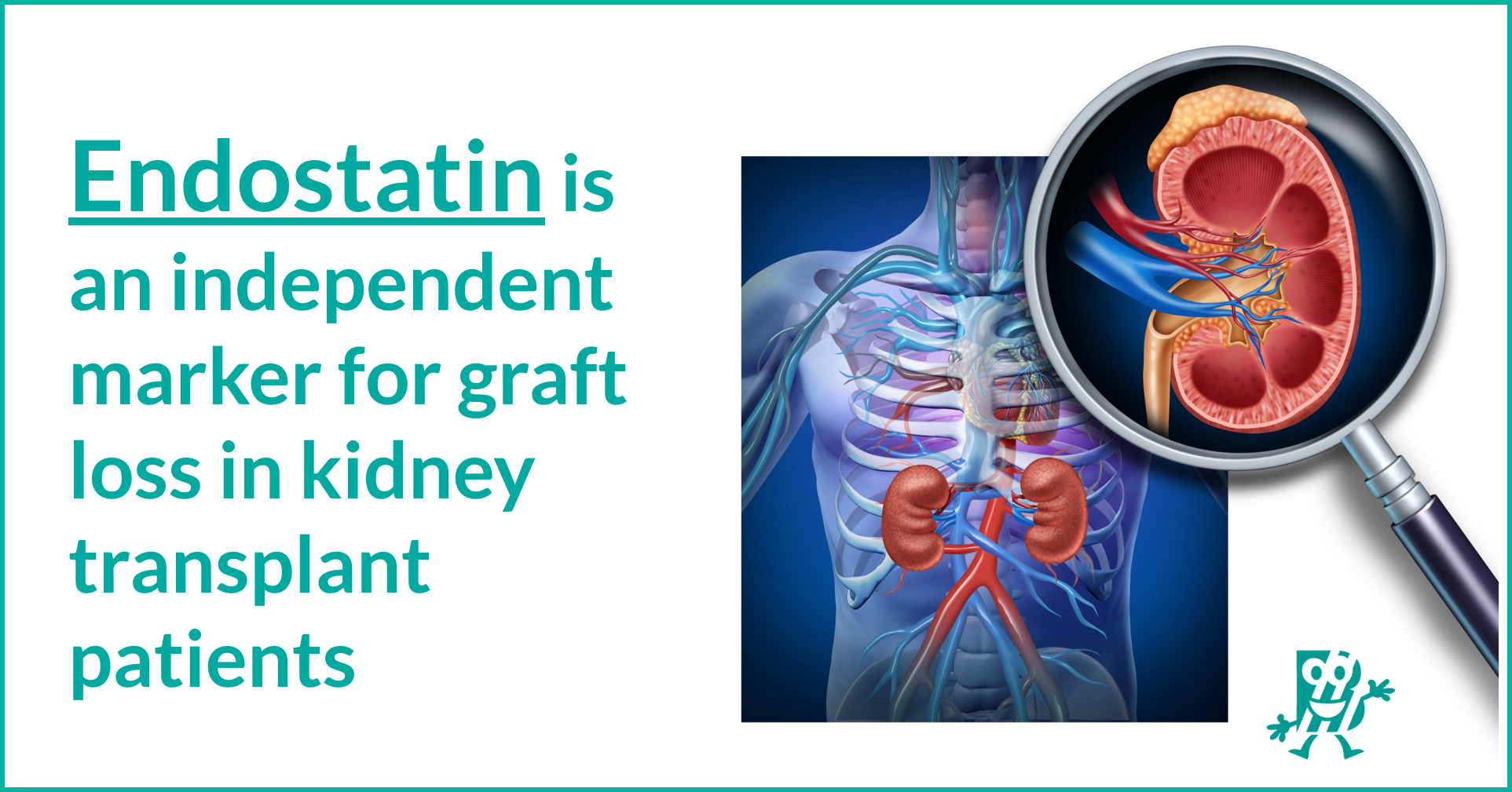 Endostatin is an independent risk factor of graft loss after kidney ...