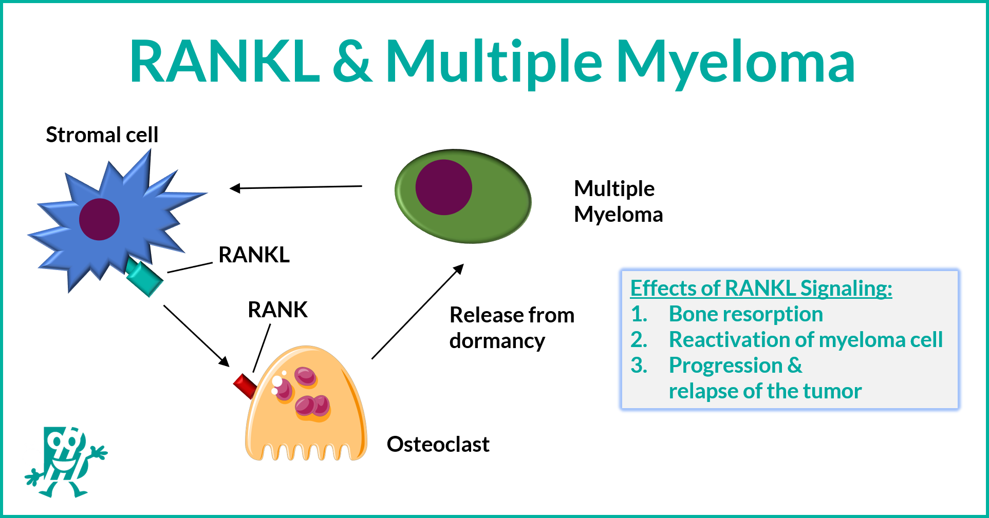 RANKL & Multiple Myeloma | Biomedica RANKL & Multiple Myeloma | Biomedica