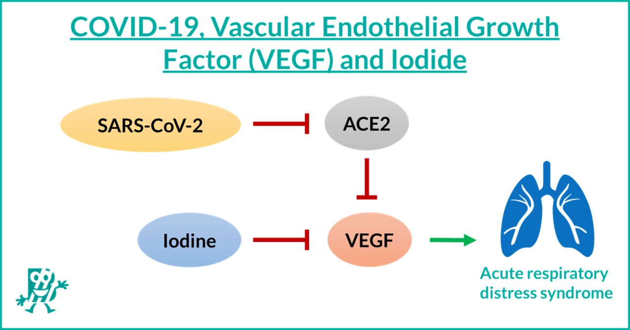 COVID-19, Vascular Endothelial Growth Factor (VEGF) and Iodide | Biomedica COVID-19, Vascular Endothelial Growth Factor (VEGF) and Iodide | Biomedica