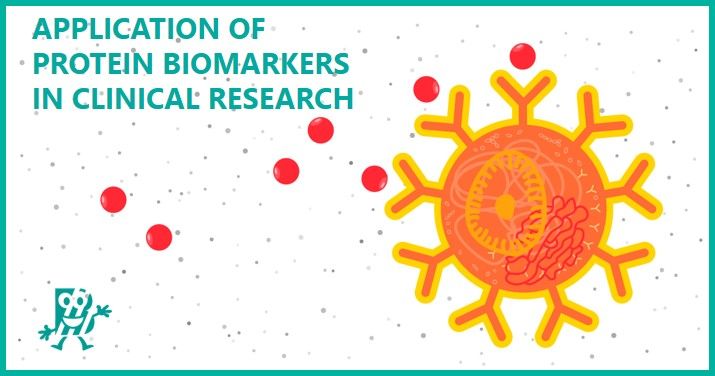 Application of Protein Biomarkers in Clinical Research | Biomedica