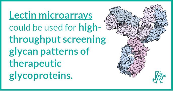 Lectin Microarrays Could Be Used For High Throughput Screening Glycan