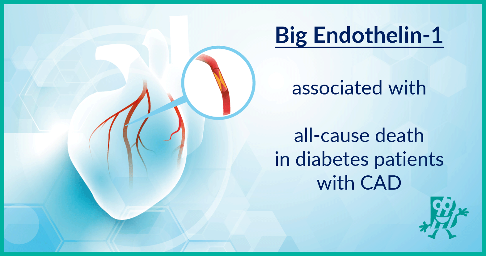 Big Endothelin-1 associated with all-cause death in diabetes patients ...