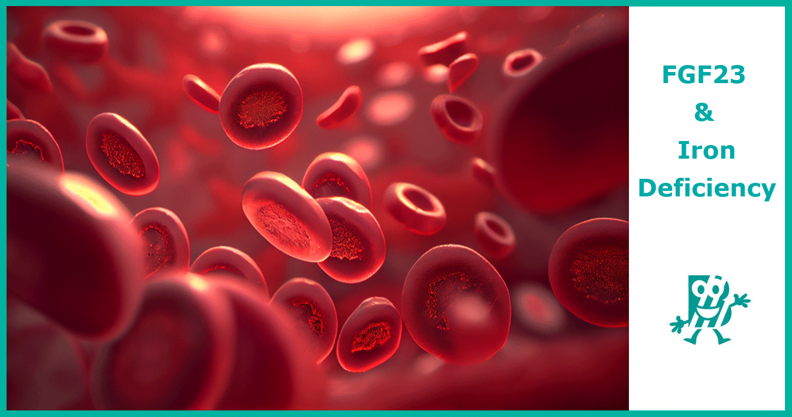 FGF23 and Iron Deficiency | Biomedica