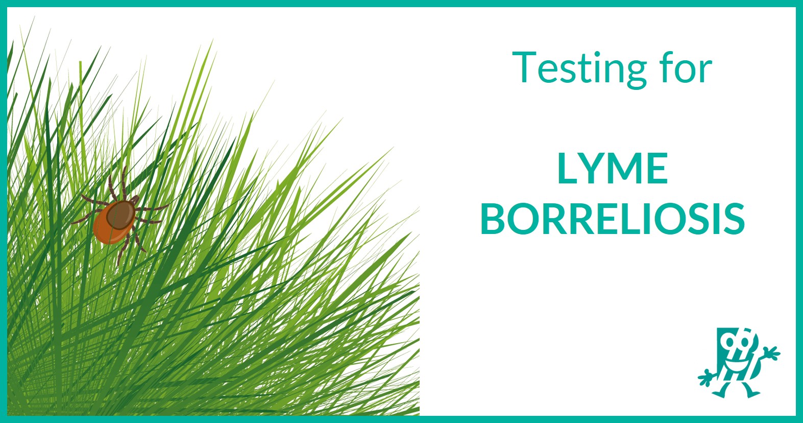 Testing for Lyme Borreliosis | Biomedica Testing for Lyme Borreliosis | Biomedica