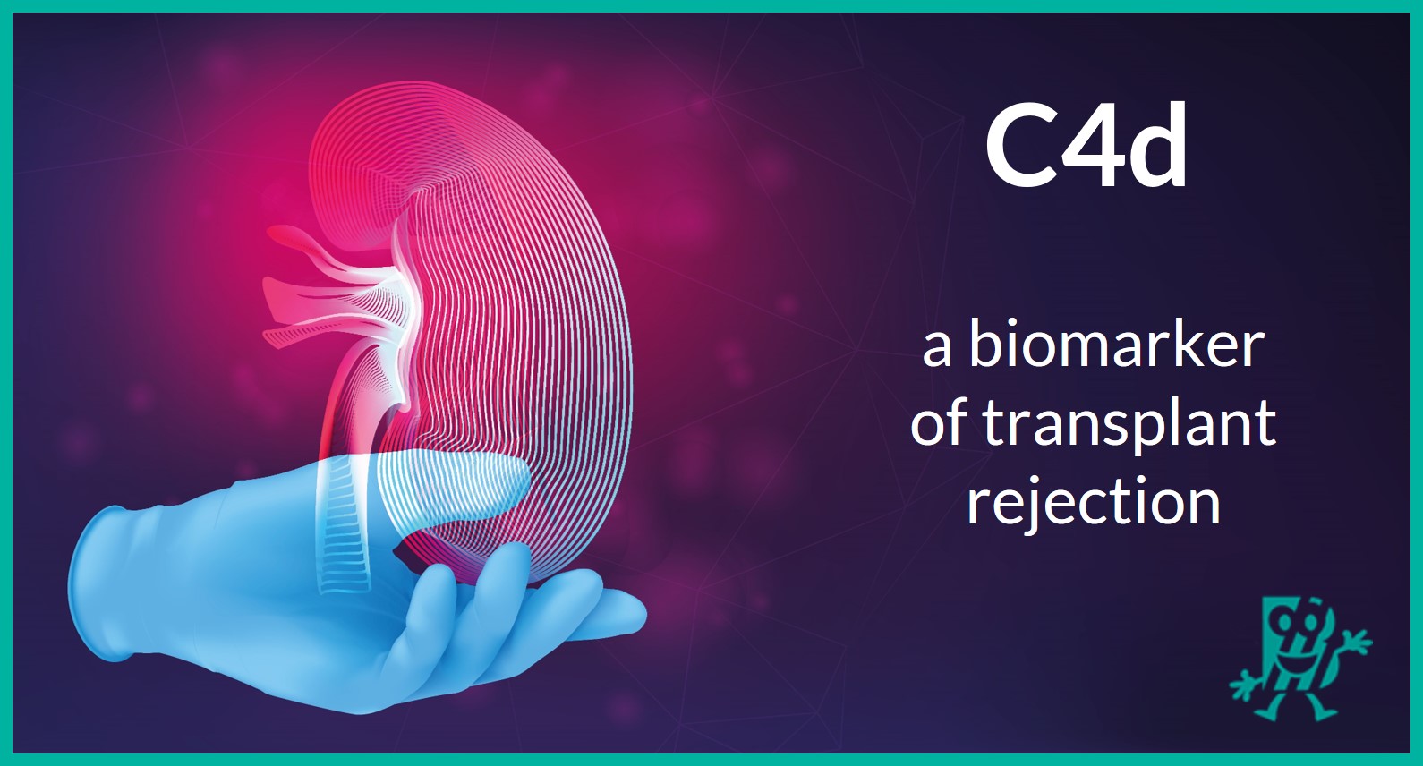 C4d a biomarker of transplant rejection | Biomedica