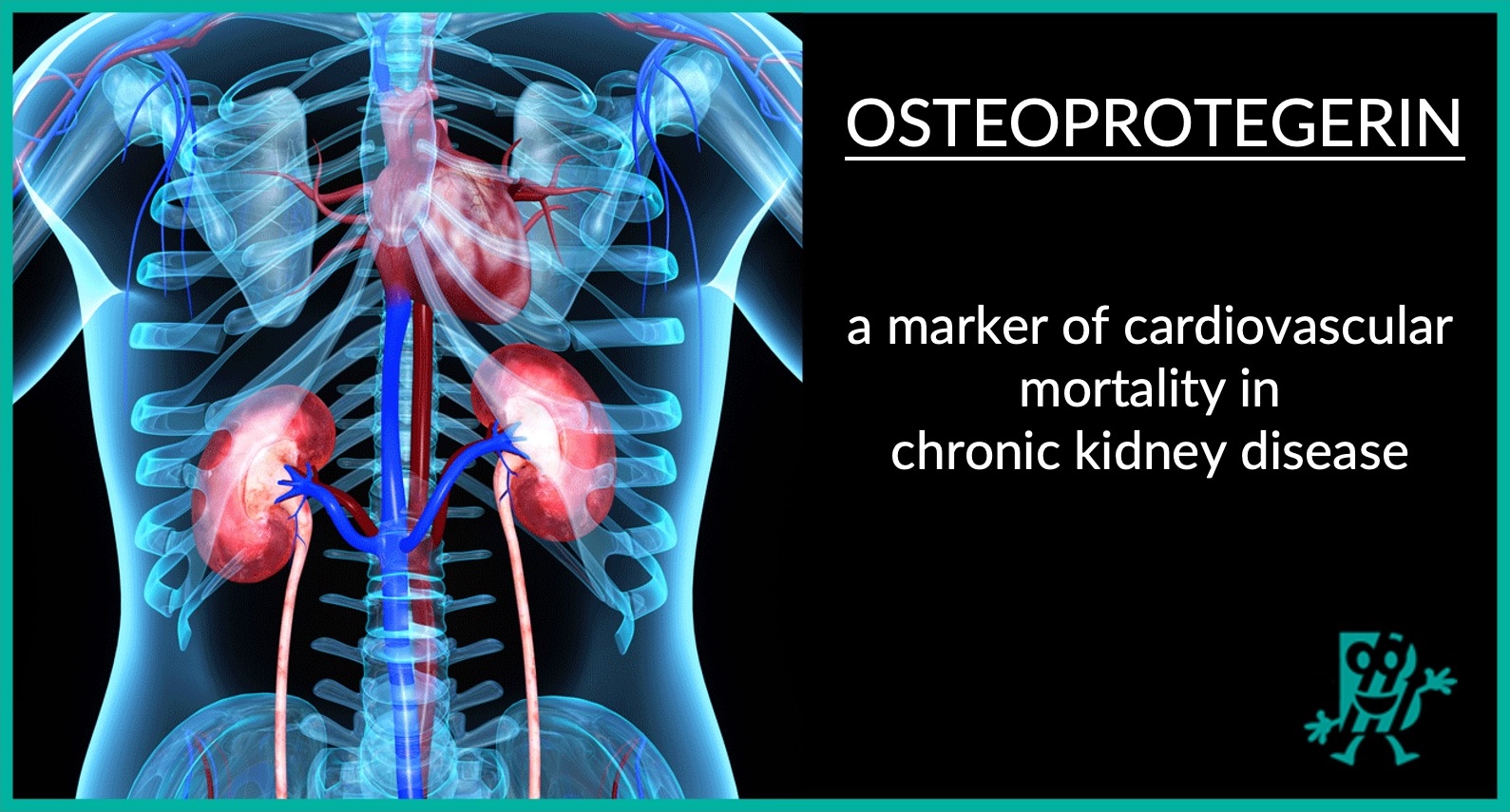 OPG a marker of cardiovascular mortality in CKD | Biomedica