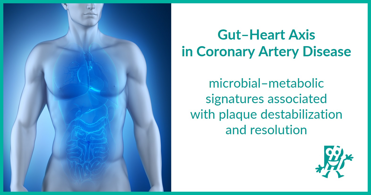 Gut-Heart Axis in Coronary Artery Disease | Biomedica